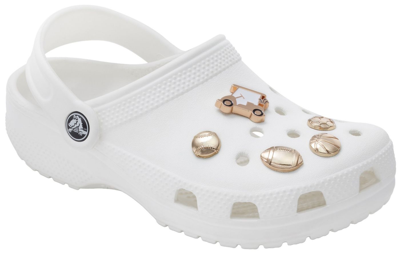 Dicks sporting good crocs