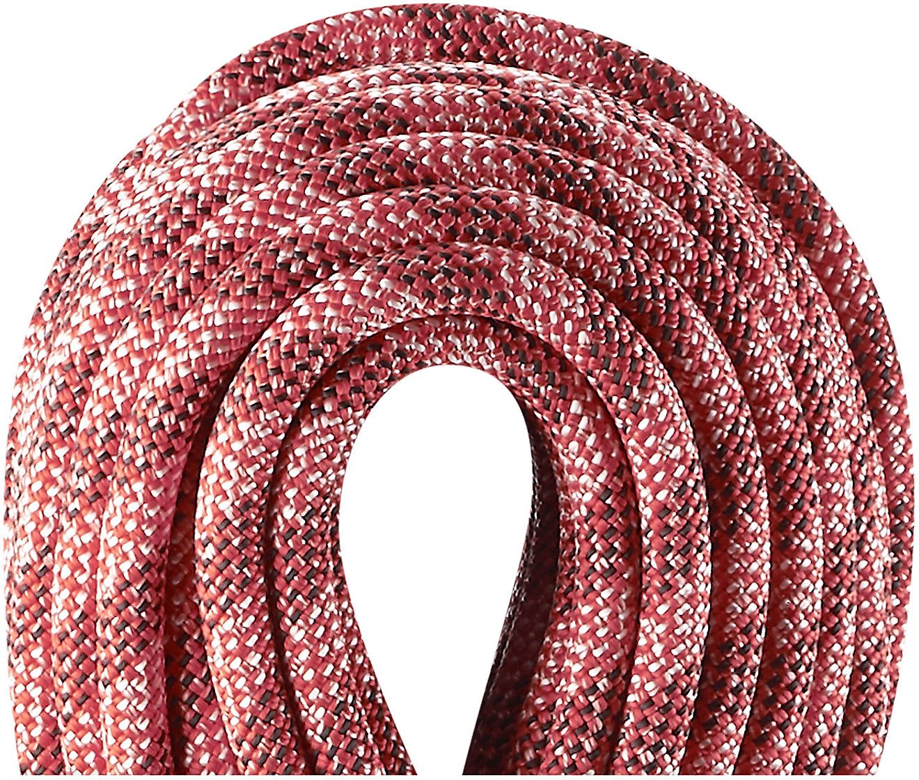 Edelrid Python 10mm Rope | Publiclands