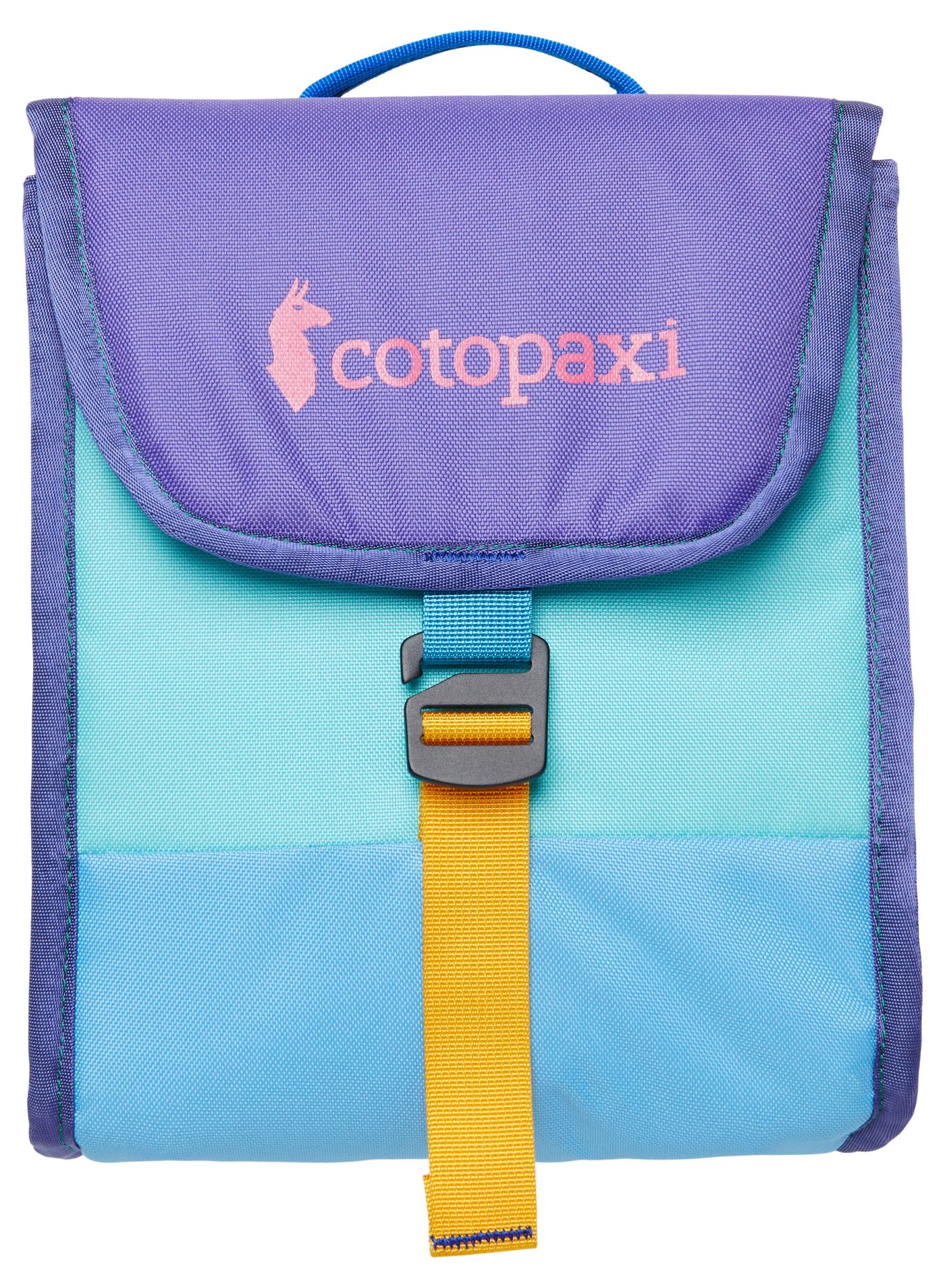 Cotopaxi Botana 6L Del Dia Lunch Bag | Publiclands