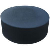 A&R Sponge Puck | Dick's Sporting Goods