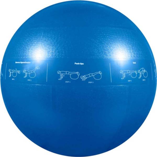 GoFit Pro Ball | Dick's Sporting Goods