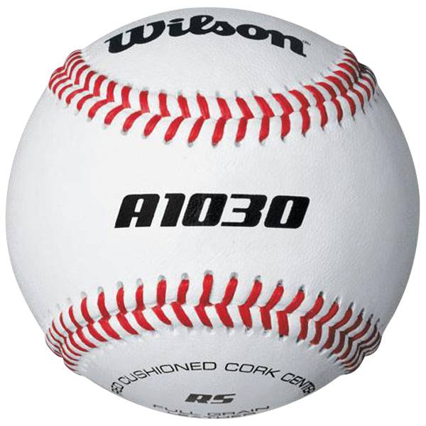 Wilson A1030 Official League Youth Baseball | Dick's Sporting Goods