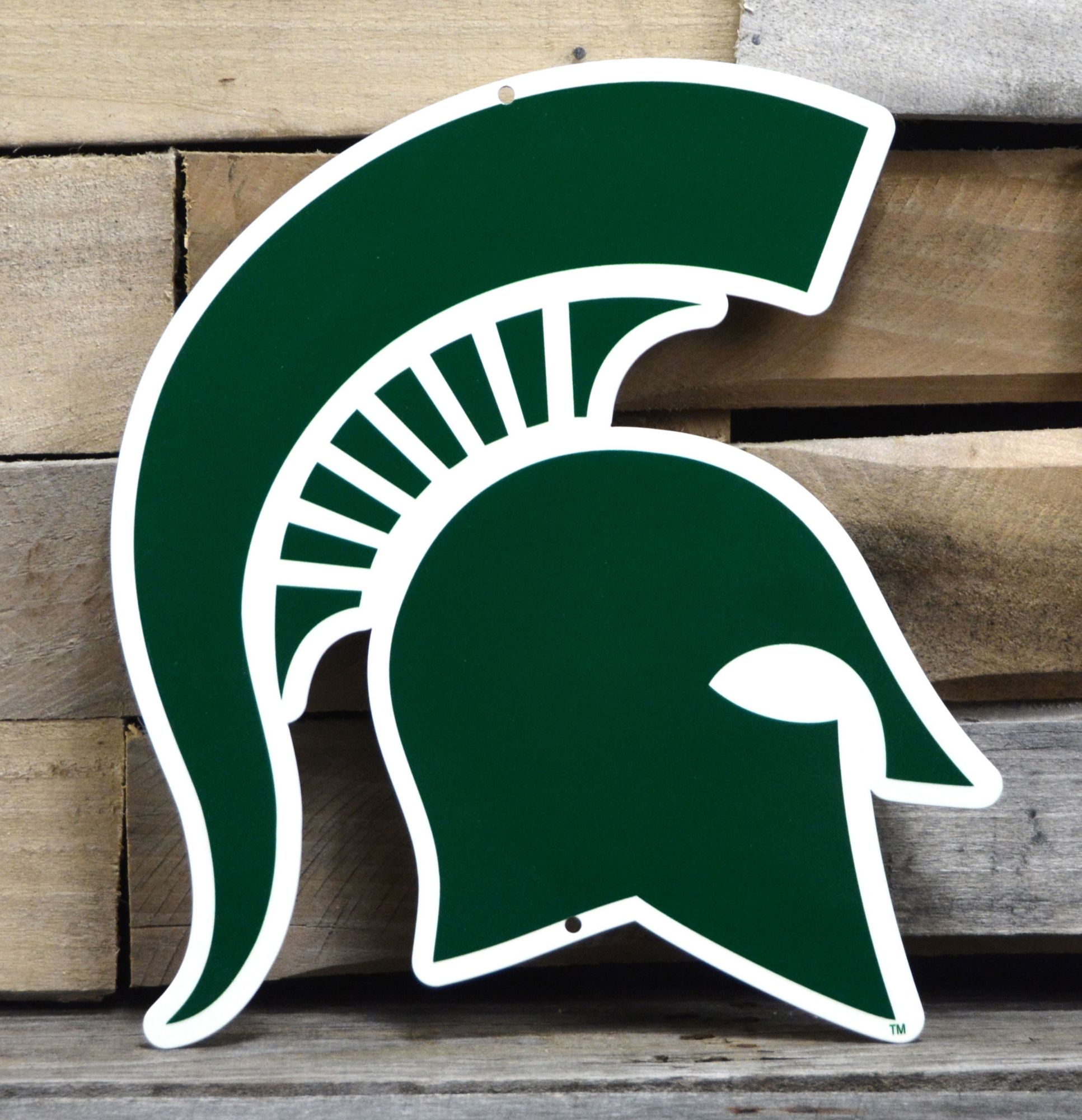 Spartan Logo Sign