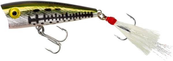 Rebel Teeny Pop-R Hard Bait | Dick's Sporting Goods