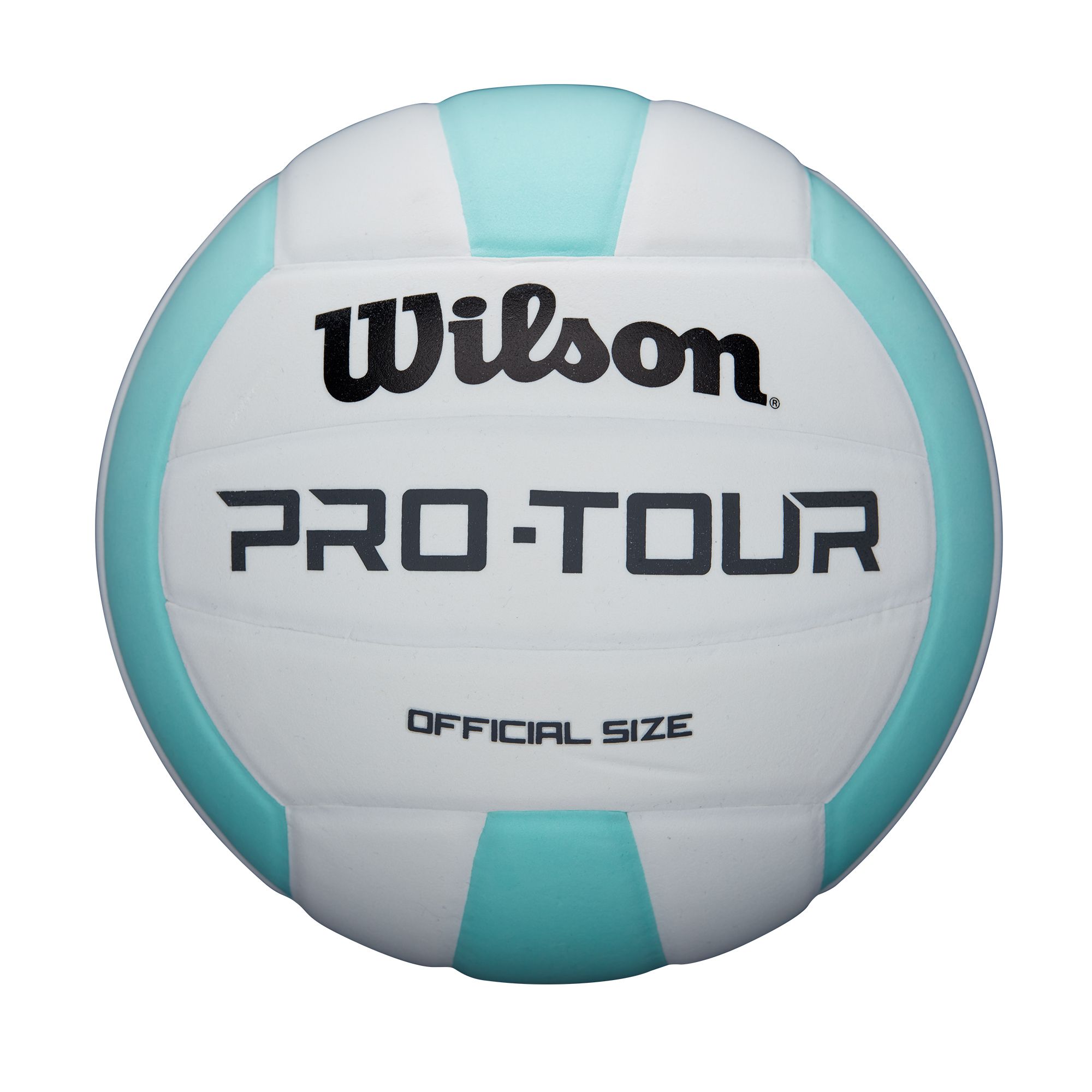 Wilson Pro Tour Indoor Volleyball | DICK'S Sporting Goods