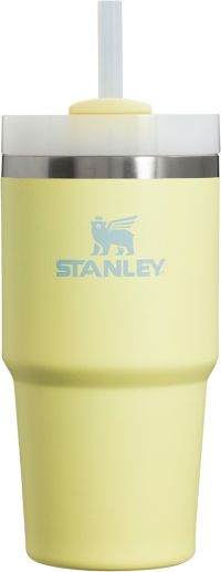 Stanley 20 oz. Quencher H2.0 FlowState Tumbler | Dick's Sporting Goods