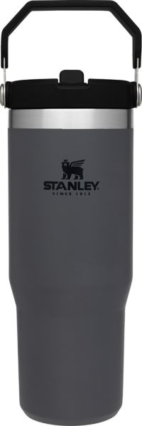 Stanley 30 Oz. IceFlow Tumbler with Flip Straw | Dick's Sporting Goods
