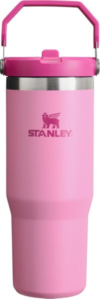 Stanley 30 Oz. IceFlow Tumbler with Flip Straw | Golf Galaxy