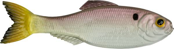 6th Sense Panorama Soft Bait | Publiclands