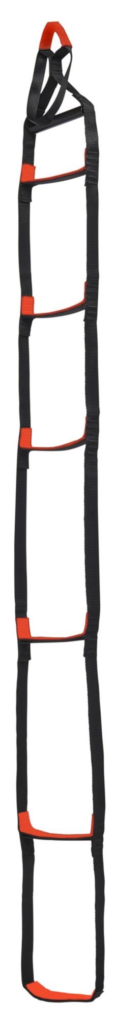 Black Diamond Stepup 6 Ladder | Publiclands