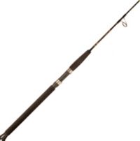 Star Rods Ariel Jigging Spinning Rod | Dick's Sporting Goods