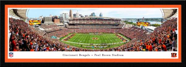 Blakeway Cincinnati Bengals Select Panoramic Single Mat Photo Frame ...