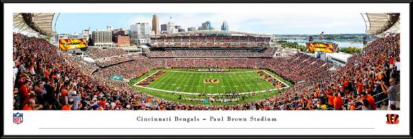 Blakeway Cincinnati Bengals Standard Panoramic Photo Frame | Dick's ...
