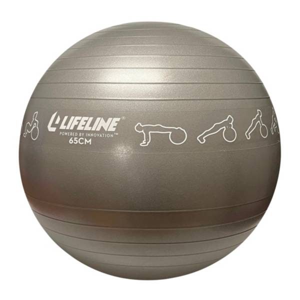 Lifeline Exercise Ball | Dick's Sporting Goods