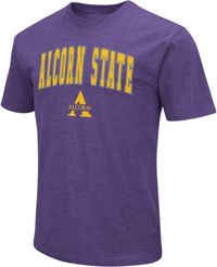 Colosseum Men's Alcorn State Braves Purple T-Shirt | Dick's Sporting Goods