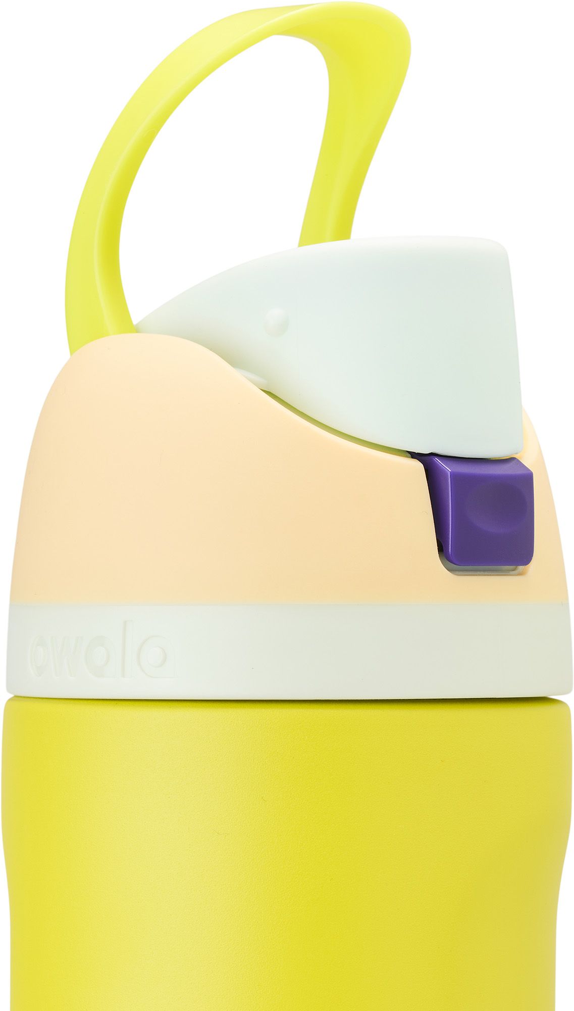 Owala 24 oz. FreeSip Stainless Steel Water Bottle | Publiclands