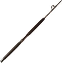 Star Rods Aerial Stand-up Conventional Rod | Publiclands