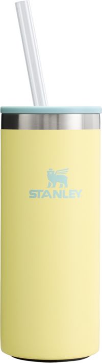 Stanley 10 oz. Everyday Slim Can Cooler Cup | Dick's Sporting Goods