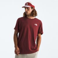 The North Face Men's Evolution Box Fit Short Sleeve T-Shirt | Publiclands