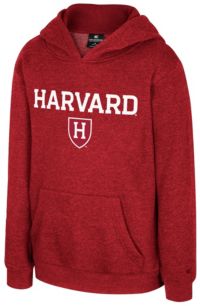 Colosseum Youth Harvard Crimson Crimson Promo Pullover Hoodie | Dick's ...