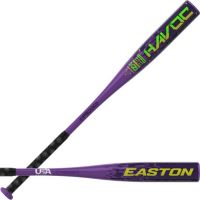 Easton Havoc USA Youth Bat (-10) | Dick's Sporting Goods