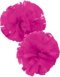 Chassé Metallic Pom Pair | Dick's Sporting Goods