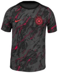 Nike Adult Portland Thorns 2025 Grey Pregame Jersey | Dick's Sporting Goods