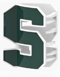FiZZY Women's Michigan State Spartans Green Logo Claw Clip | Dick's ...
