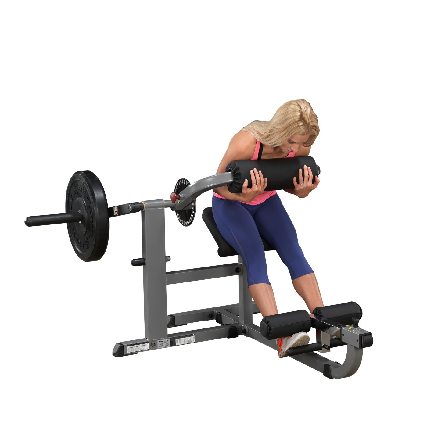 Body-Solid GCAB360 CAM Series AB Back Machine | Dick's Sporting Goods