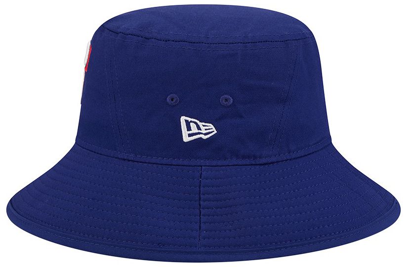 New Era Adult Texas Rangers Royal Evergreen Bucket Hat | Dick's ...