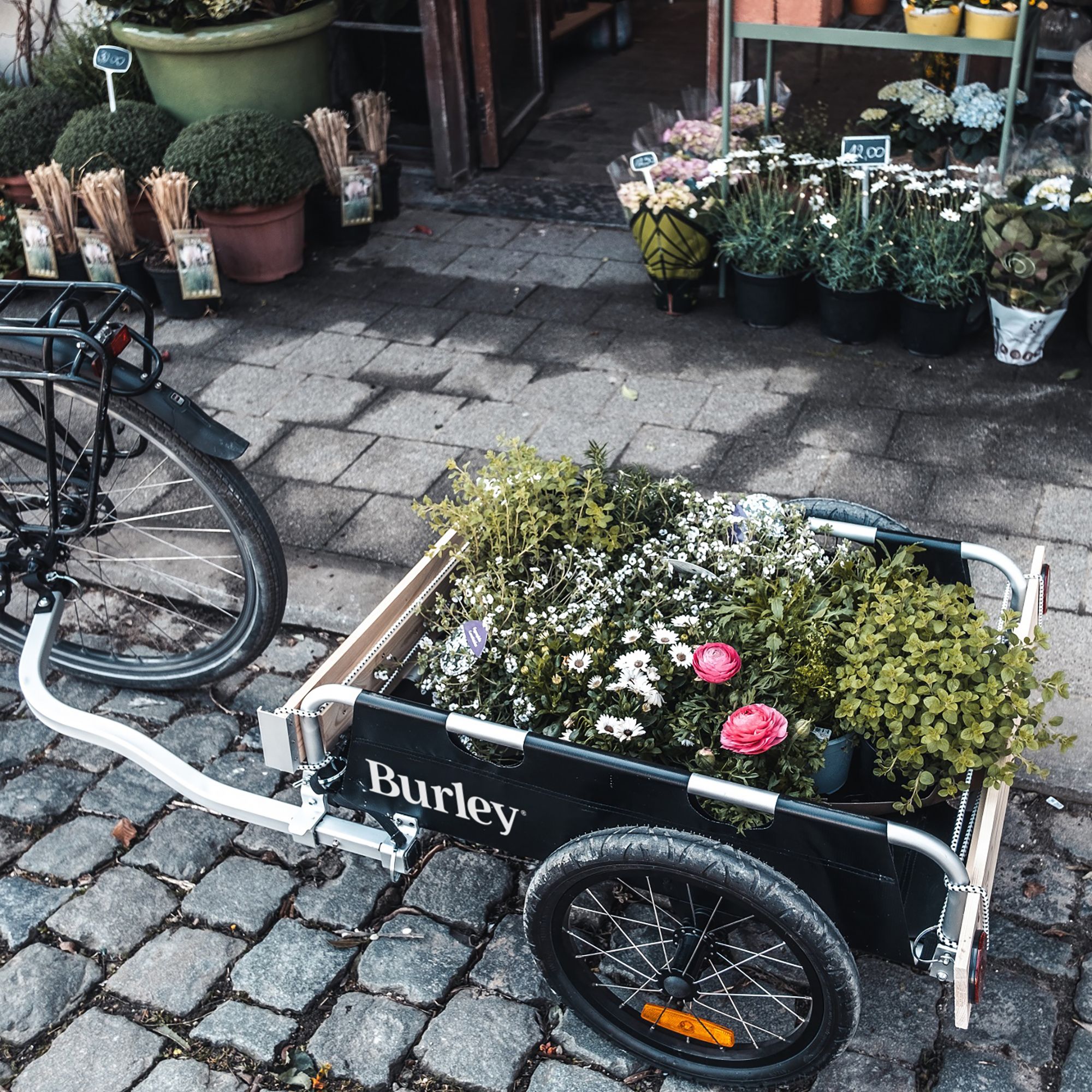 Burley Design Flatbed Bike Trailer | Publiclands