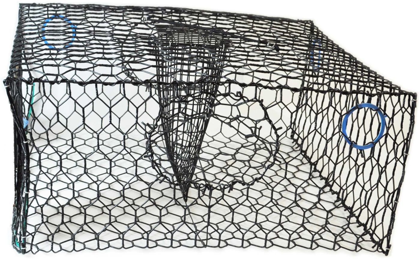 Lee Fisher Wire Crab Trap | DICK'S Sporting Goods