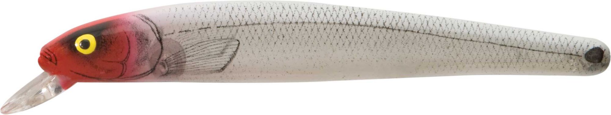 Live Baits | DICK's Sporting Goods